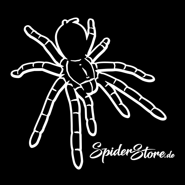 www.SpiderStore.de